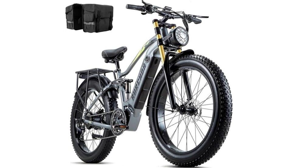 DAMSON Electric Bike 1500W Peak Motor Review | The Best eBikes