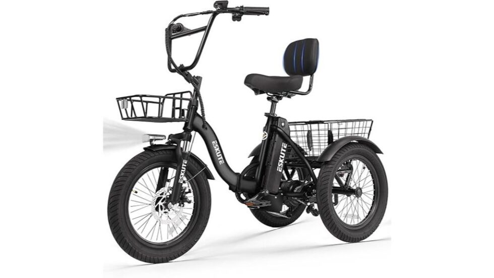 ESKUTE E Trike Electric Bike (T300) Review | The Best eBikes